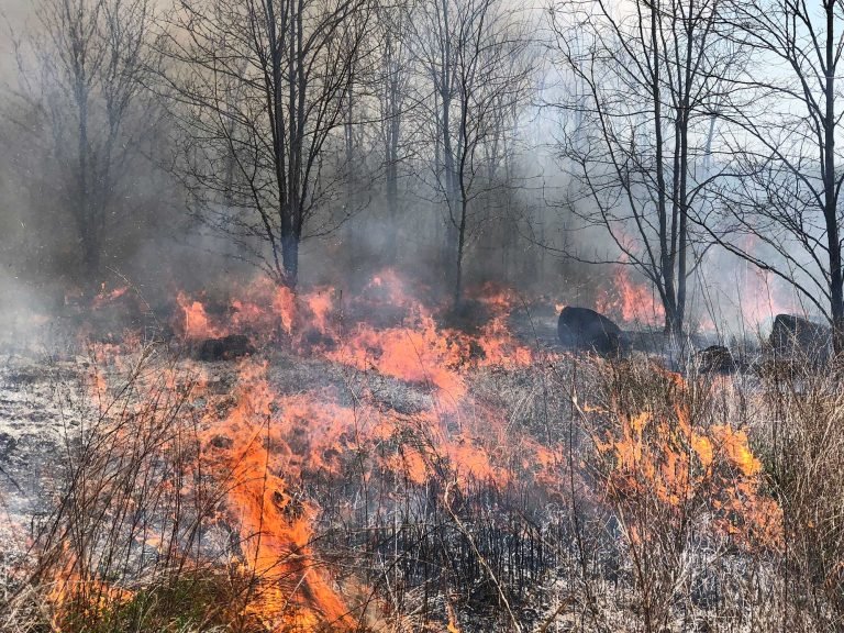 Fires - Coal Creek Farm
