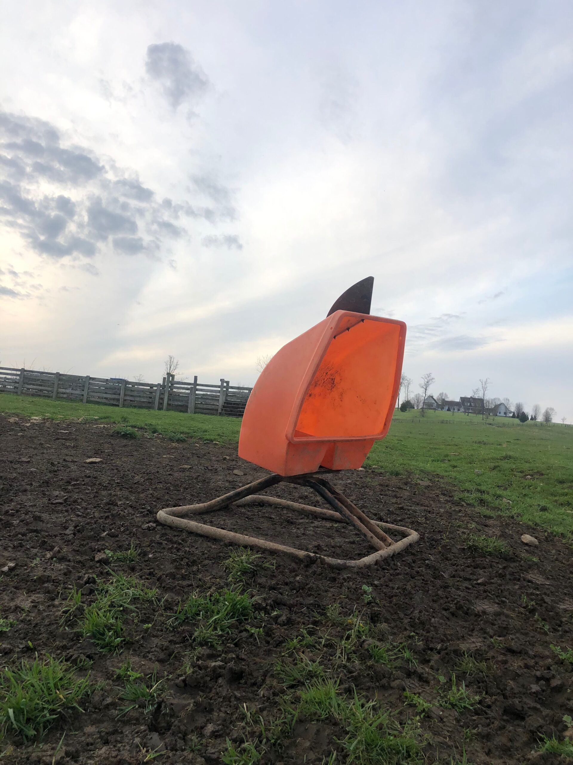 Skunk and Art or Mineral Feeder and Fencing - Coal Creek Farm